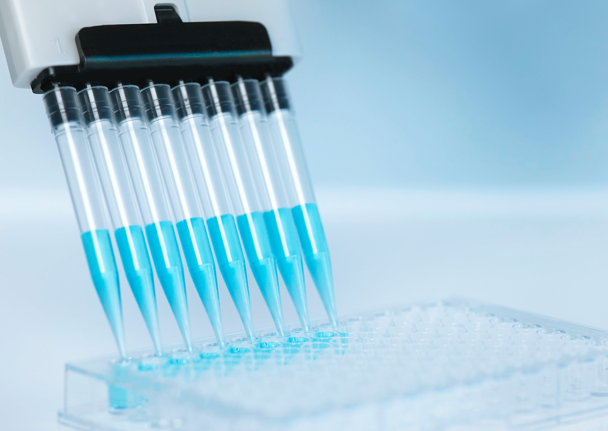 Distributor Opportunities - Bioporto